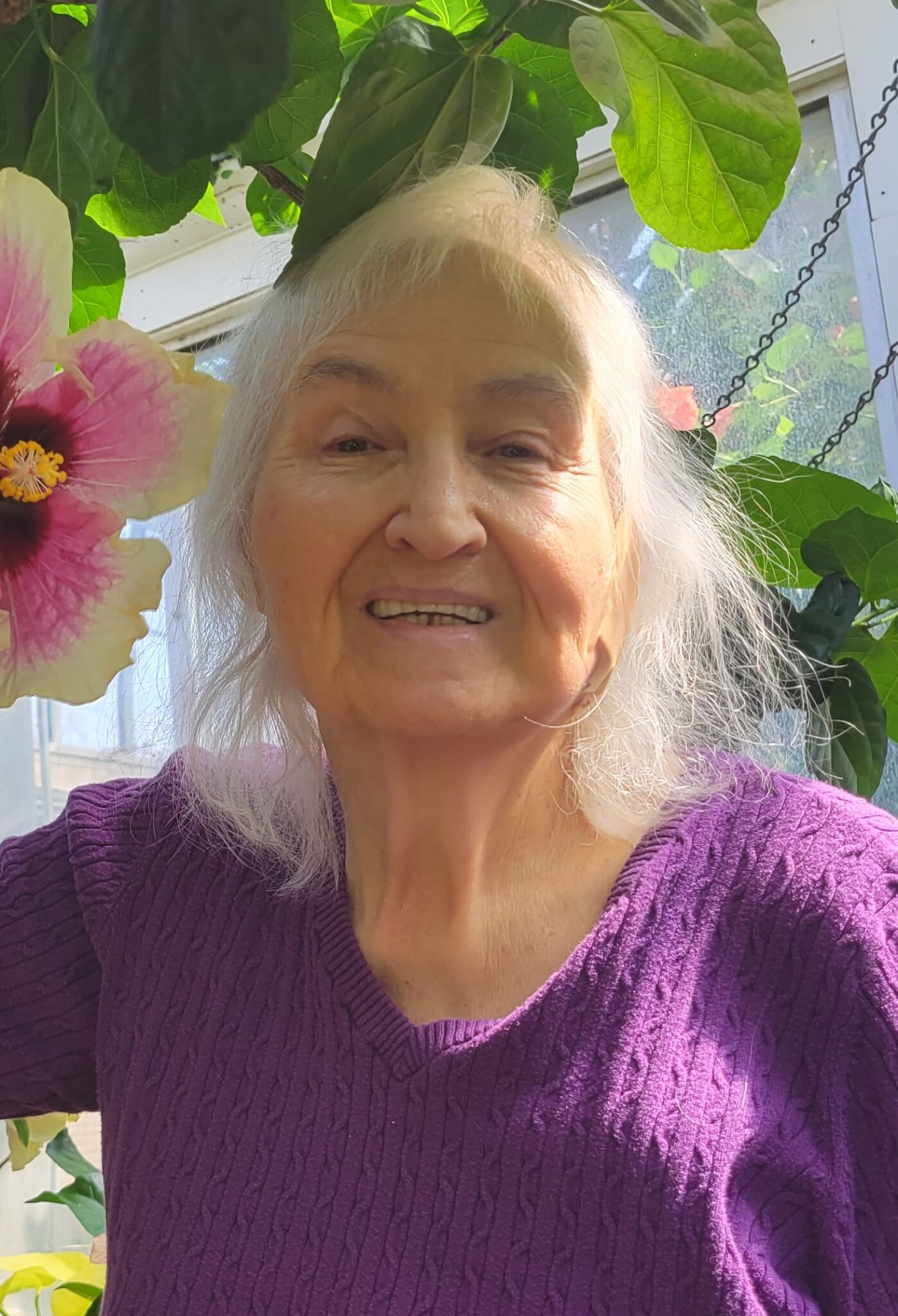 Lidia Martinescu - Meeson Family